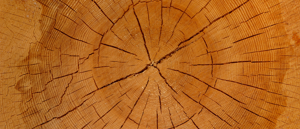 How Different Wood Species Change as they Age – Moore's Furniture